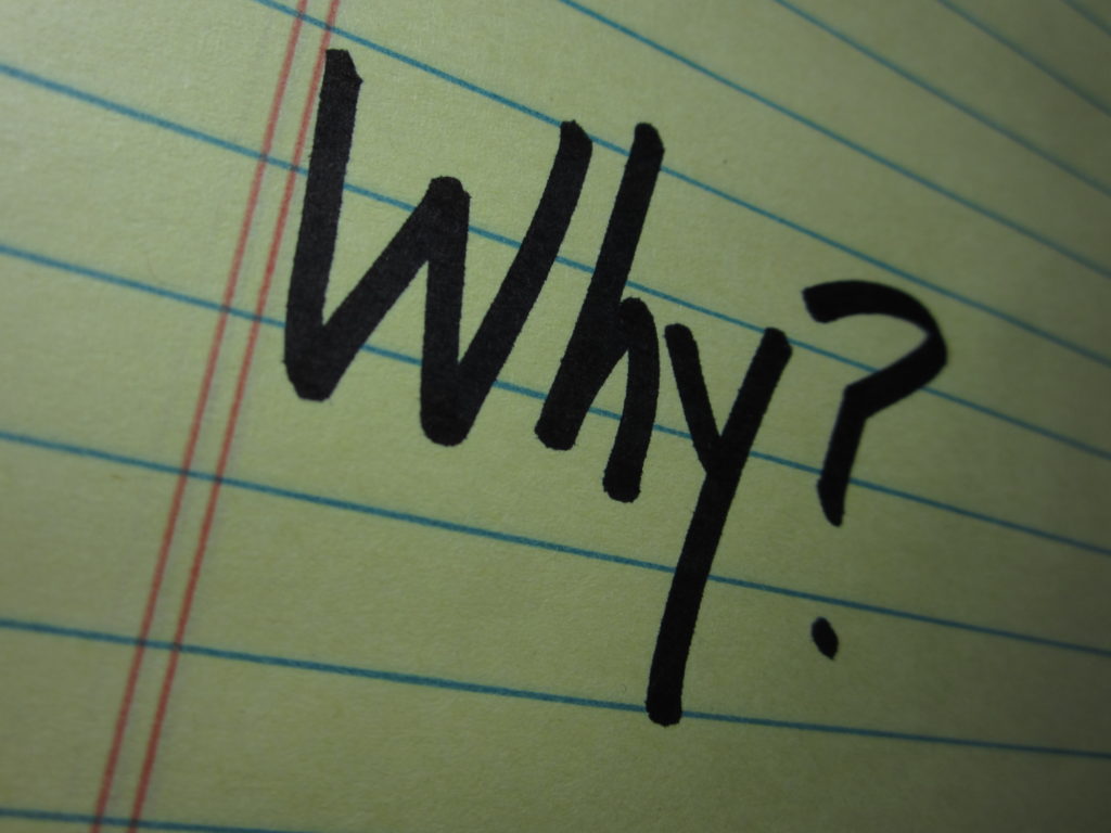 The "Why" Behind Your Big Ideas - Neil Strauss